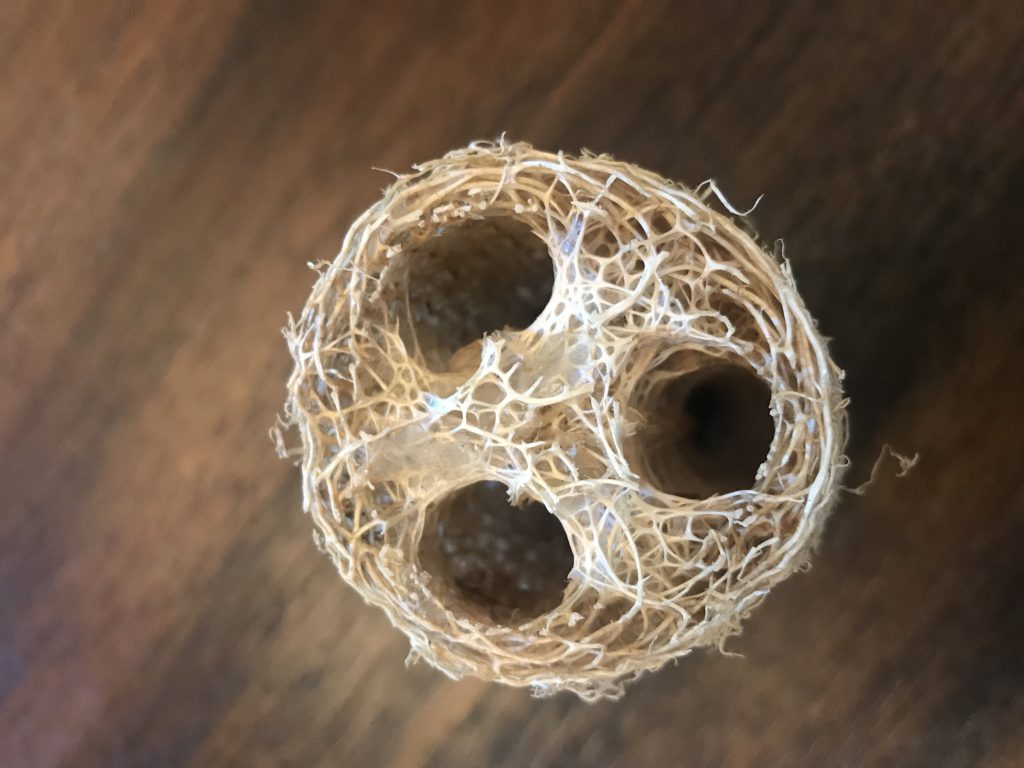 Loofa – Royal Avian